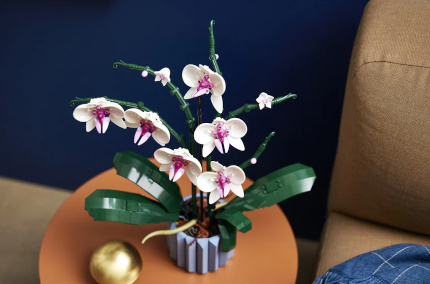 Ufficiali i nuovi set LEGO della collezione Botanical - Mattoncity